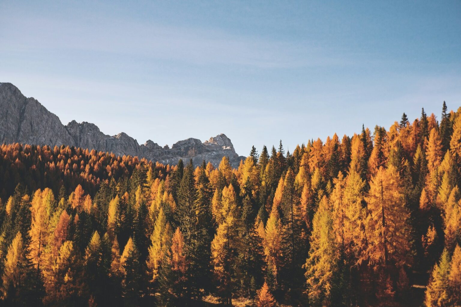 18 Interesting Facts about Fall That Will Make you Love the Season ...