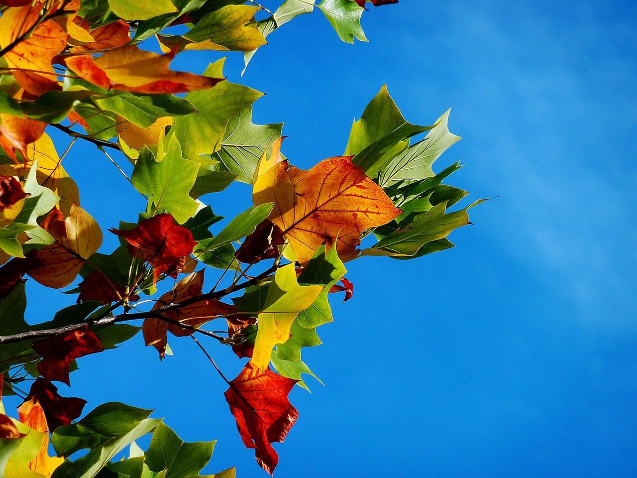 18 Interesting Facts about Fall That Will Make you Love the Season ...
