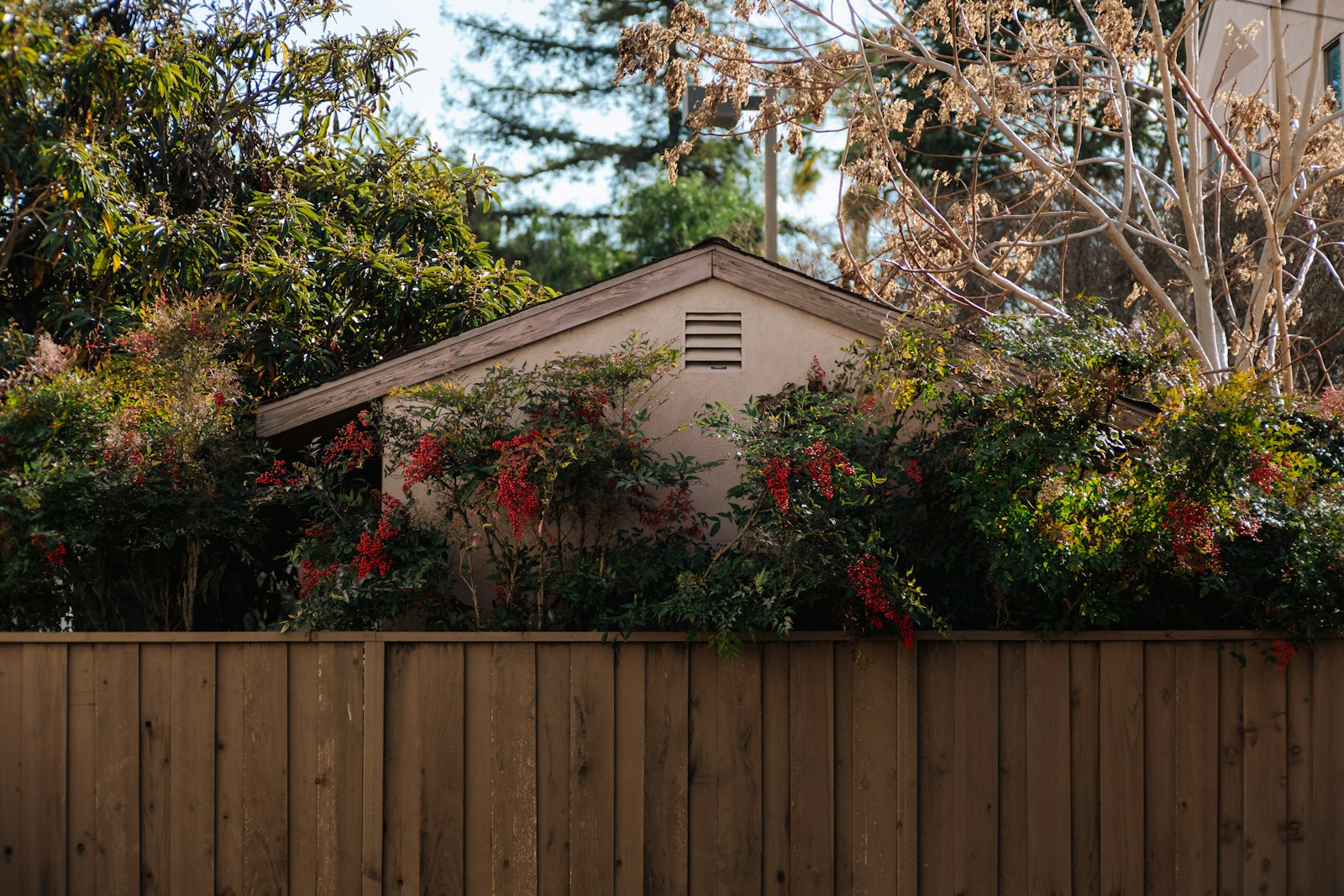 9 Things in Your Backyard That Neighbors Find Annoying | The WiC ...
