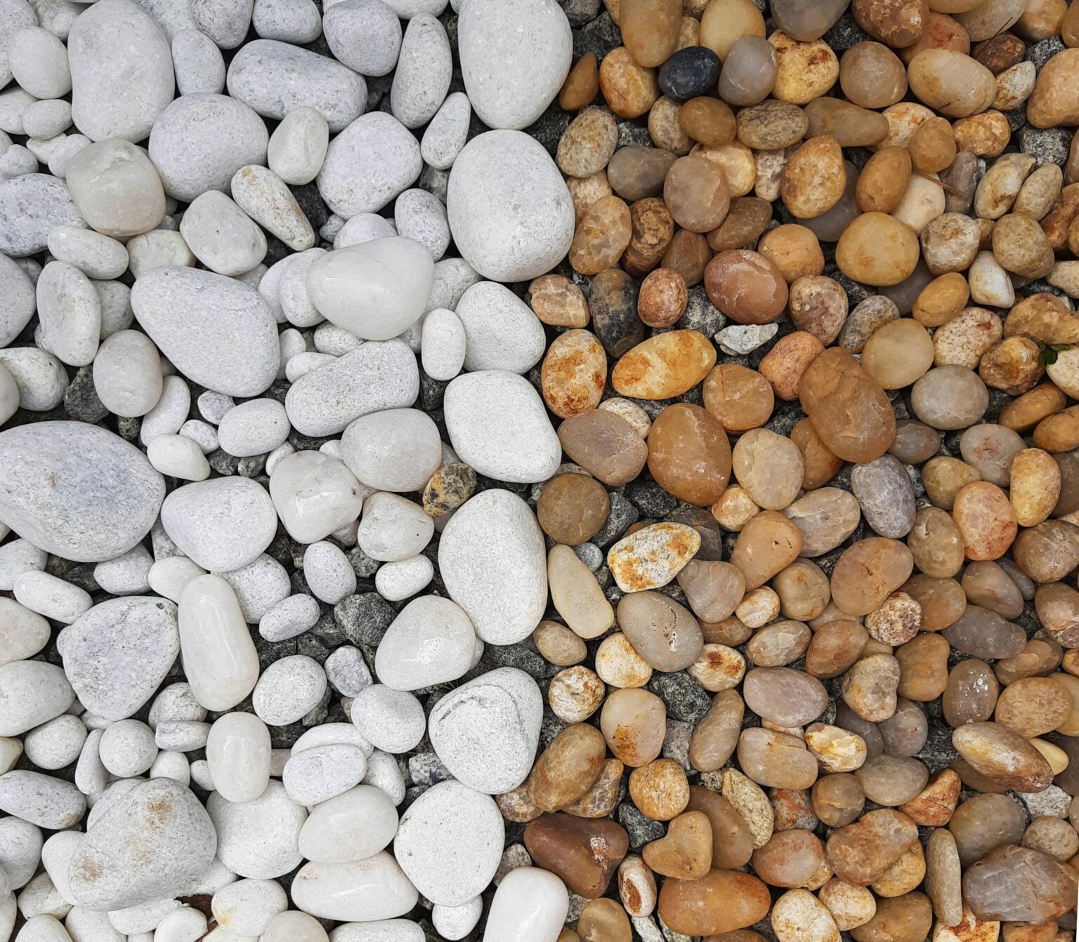 12 Garden Edging Ideas to Elevate Your Landscaping | The WiC Project Blog
