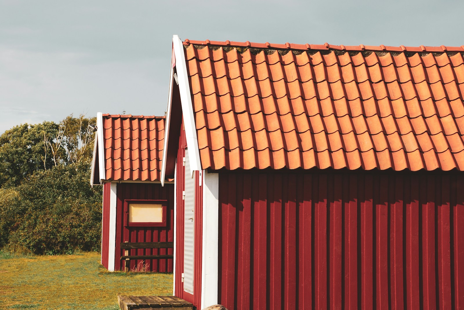 8 Creative Shed House Ideas for Stylish Living | The WiC Project Blog