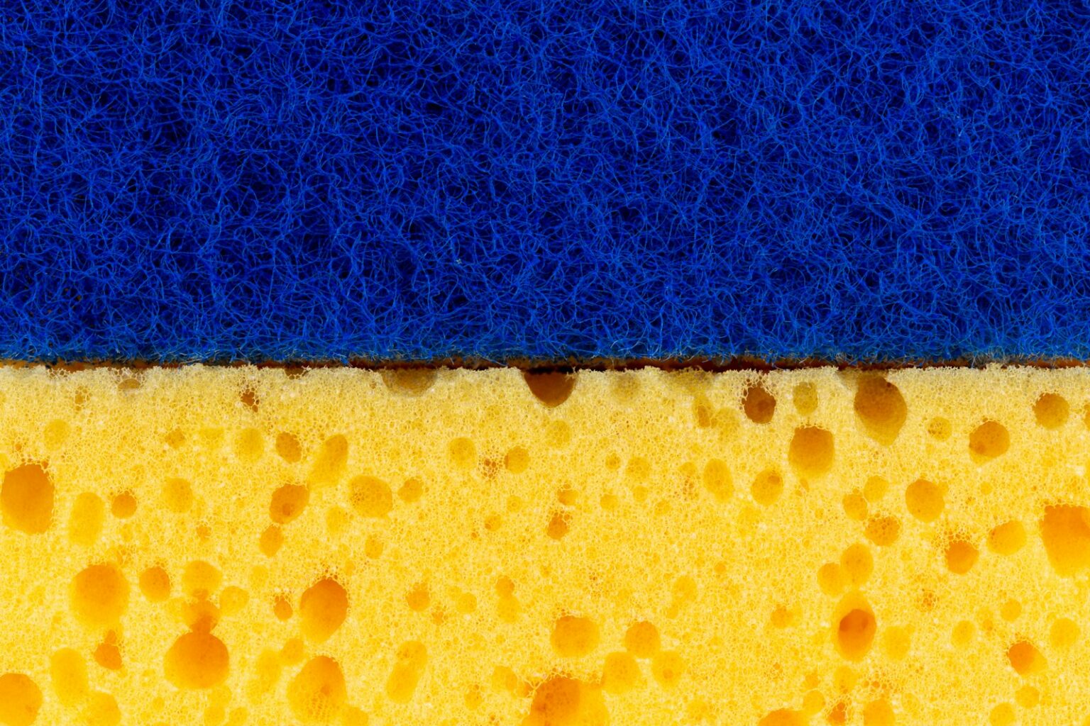 9 Handy Sponge Hacks Everyone Should Know | The WiC Project Blog