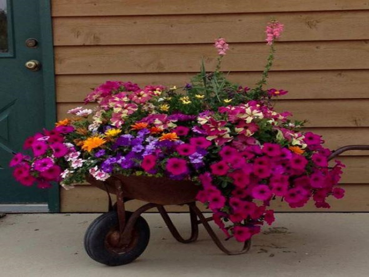 20 Unique Repurposed Containers Perfect for Your Garden | The WiC ...