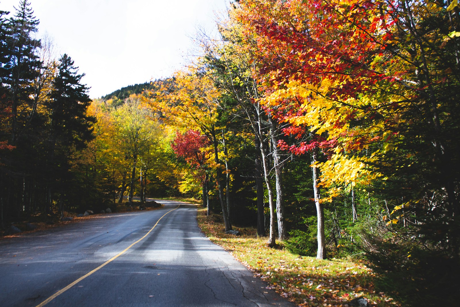 10 Scenic Fall Foliage Road Trips in Vermont to Take This Year | The ...
