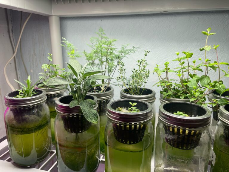 20 Unique Repurposed Containers Perfect for Your Garden | The WiC ...