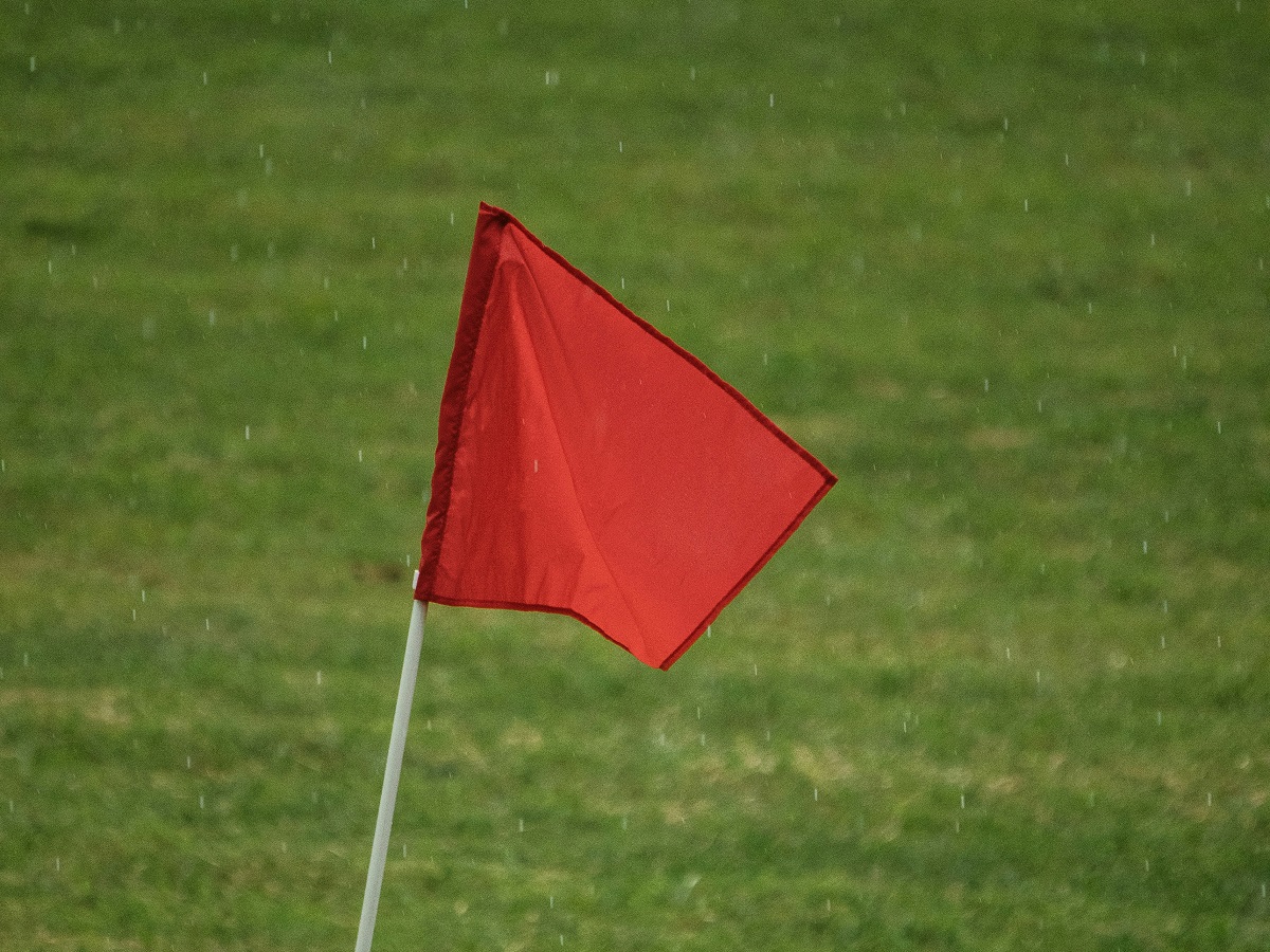 What Red Flags on Your Neighbor’s Lawn Actually Mean | The WiC Project Blog