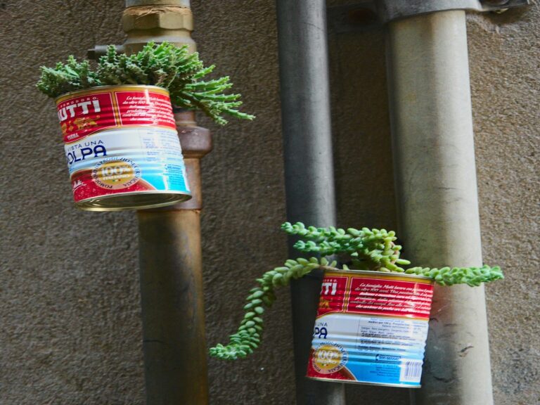 20 Unique Repurposed Containers Perfect for Your Garden | The WiC ...