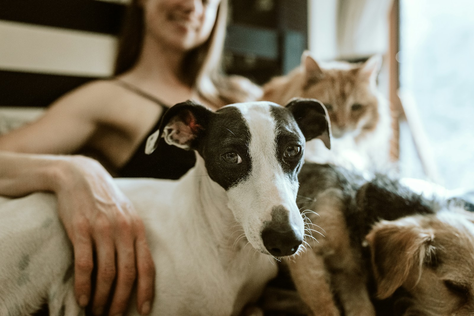 Why Millennials Are Choosing Pets Over Parenthood | The WiC Project Blog
