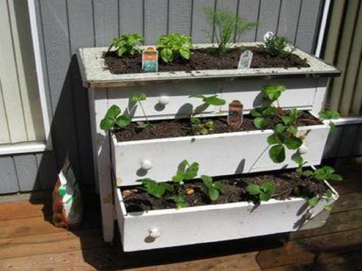 20 Unique Repurposed Containers Perfect for Your Garden | The WiC ...