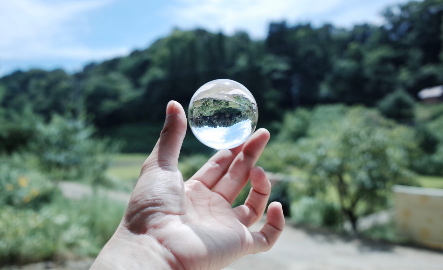 10 Hidden Photography Tricks You Can Do With Just Your Phone | The WiC ...