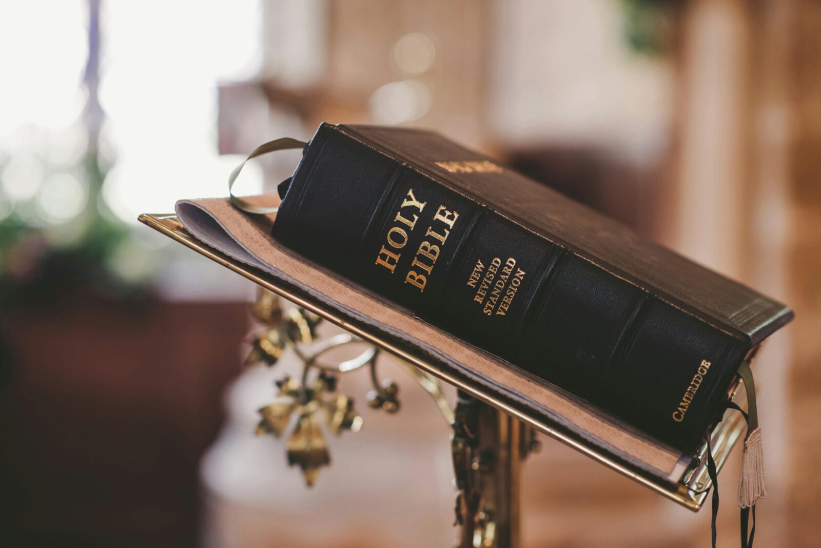 The Truth About the Mysterious Nephilim in the Bible | The WiC Project Blog