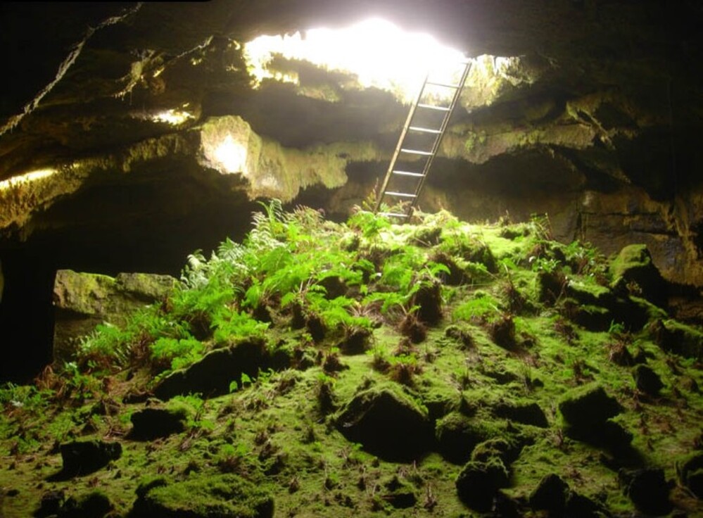 North Alabama’s Underground Caves and Flowing Streams Few Tourists Know ...