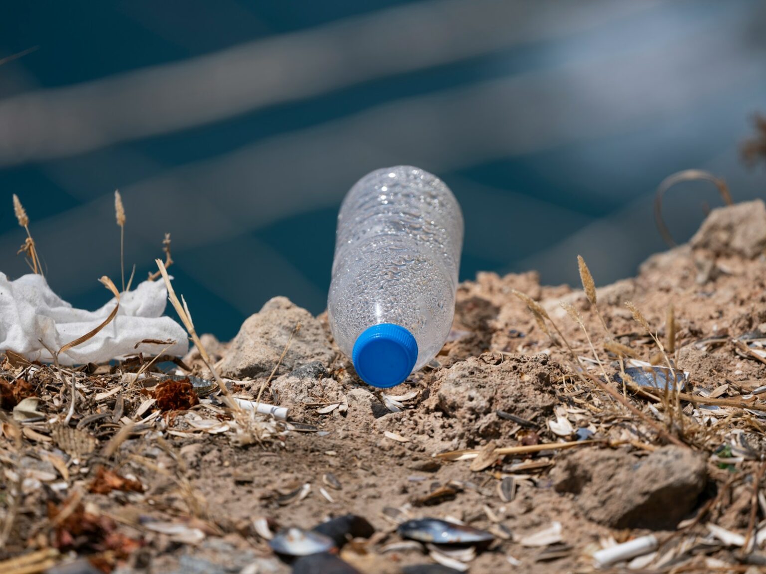 Why Many “Biodegradable” Plastics Don’t Biodegrade in U.S. Landfills ...