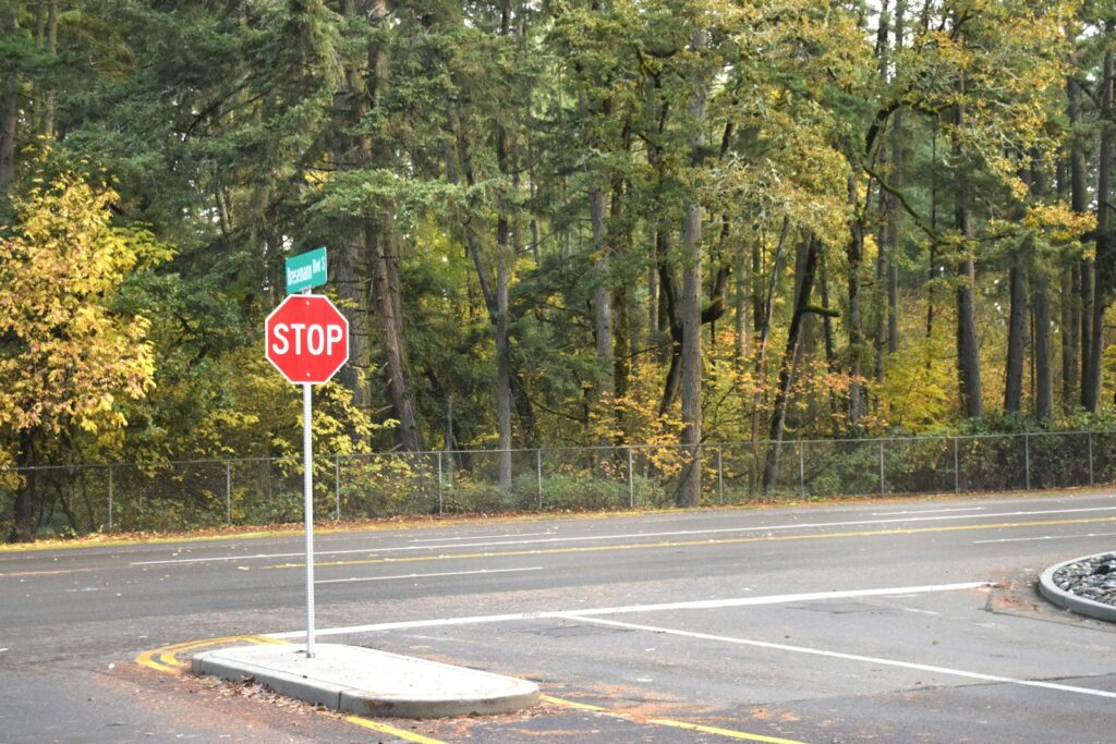 12 Old Driving Habits That Could Get You Ticketed Now | The WiC Project ...
