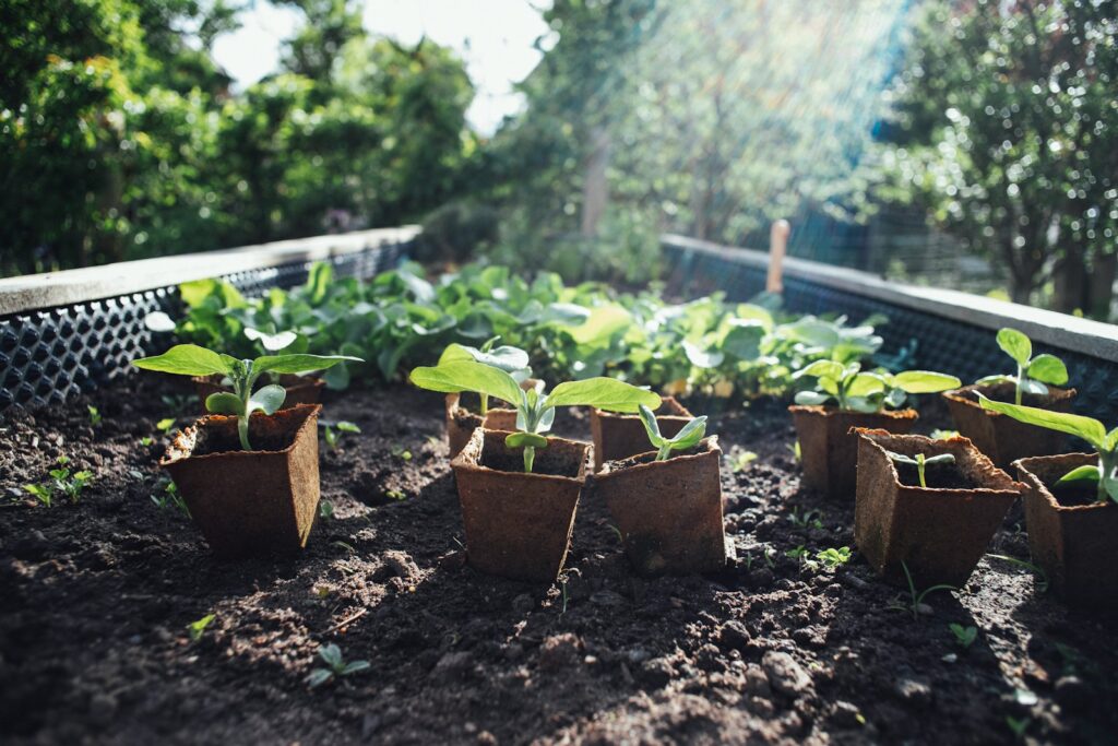 Why Planting Perennial Vegetables Even an Ancient Variety Can Save You ...