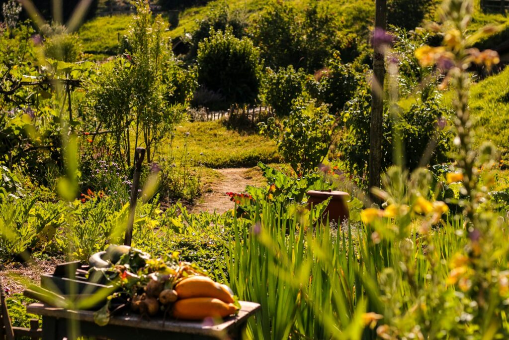 Why Planting Perennial Vegetables Even an Ancient Variety Can Save You ...