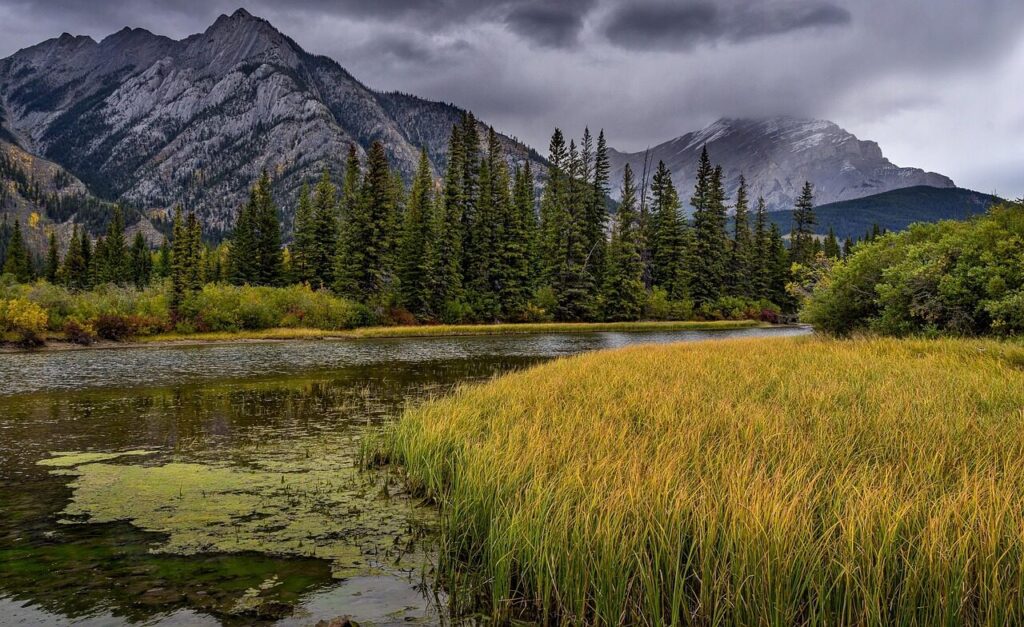 12 National Parks Visitors Say Are Suffering From Overtourism | The WiC ...