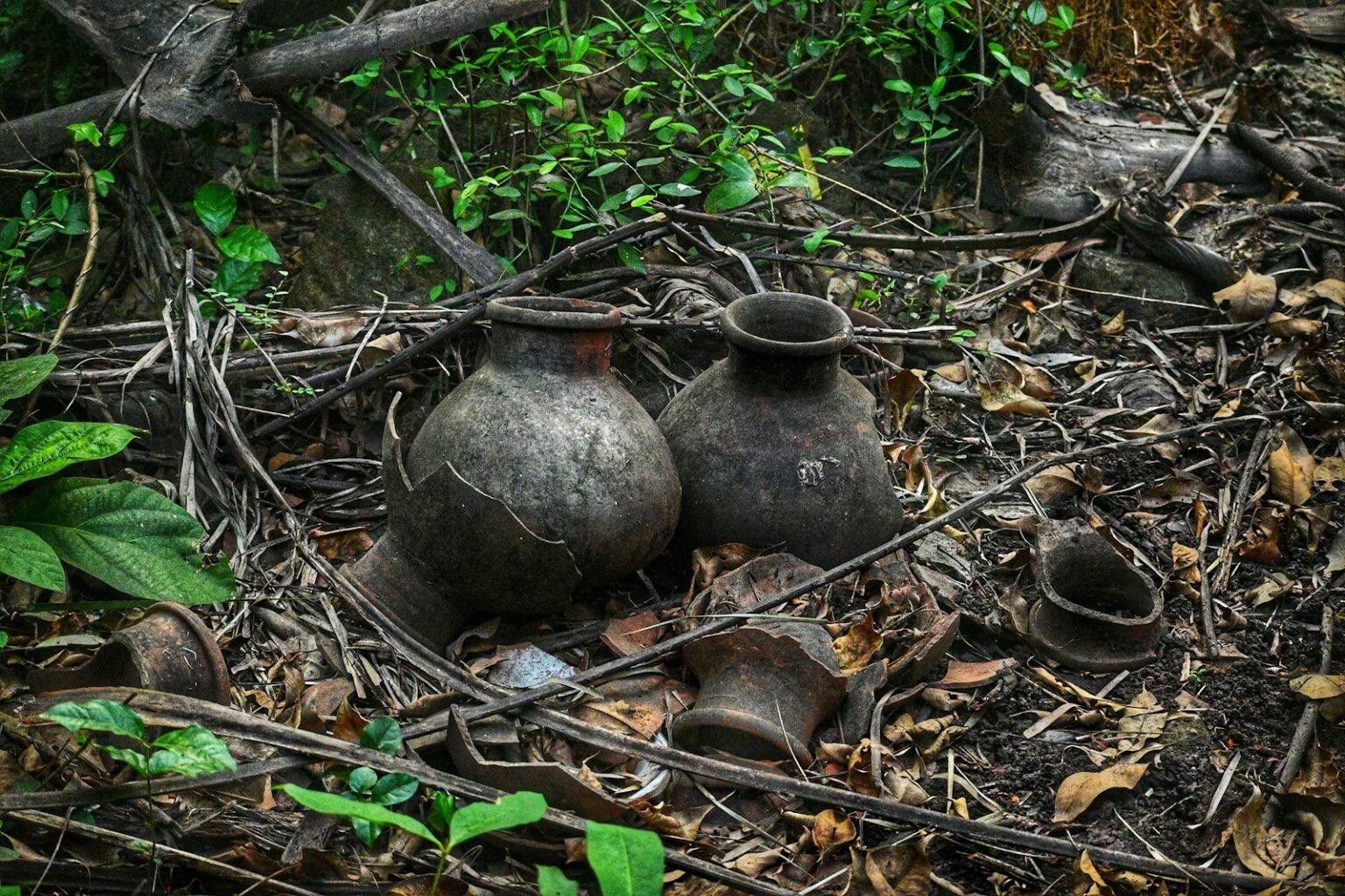 11 Disgusting Hygiene Habits From History That Show How Hard Life Was ...
