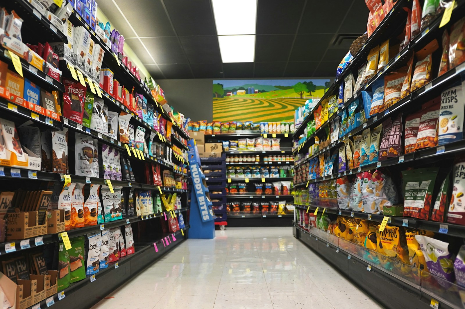 Have Grocery Store Layouts Become Manipulative Rather Than Helpful for ...
